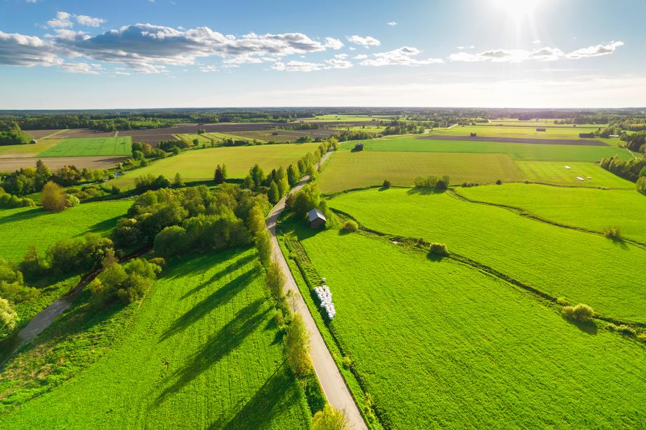 Green ammonia is a solution for tackling the climate crisis | VTT